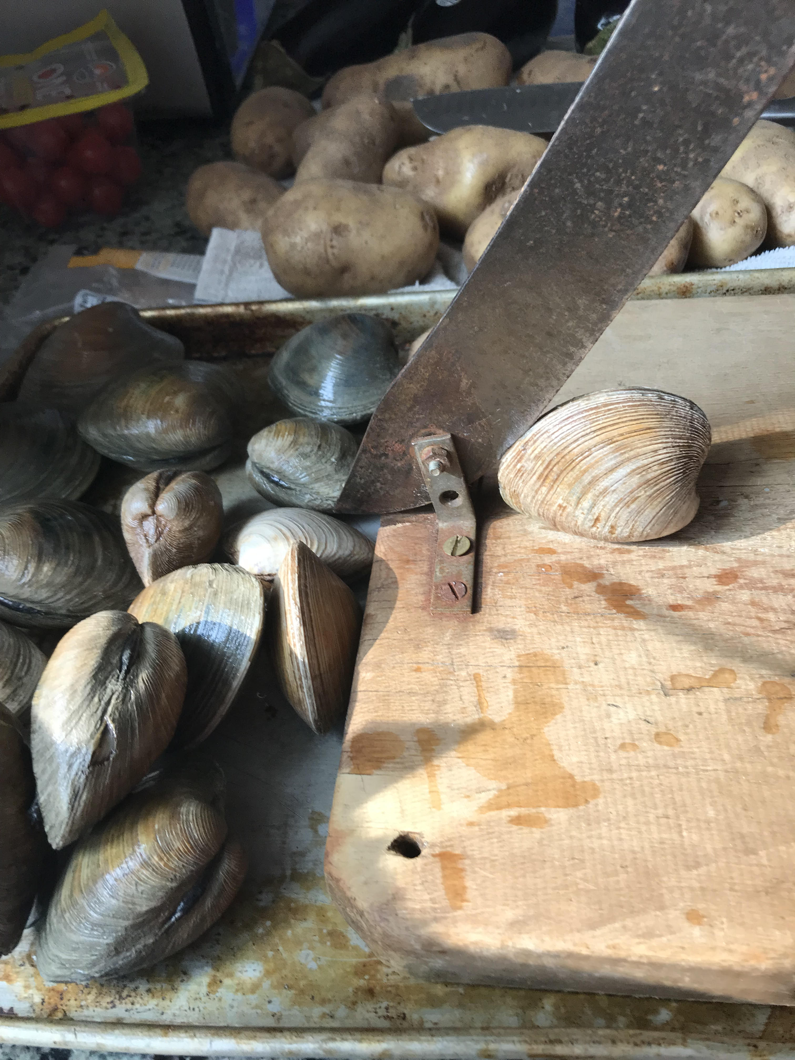Opening Quahogs – What To Cook Tonight